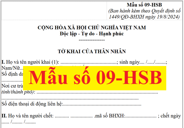 Cách lập mẫu 01B-HSB chế độ thai sản ốm đau theo QĐ186